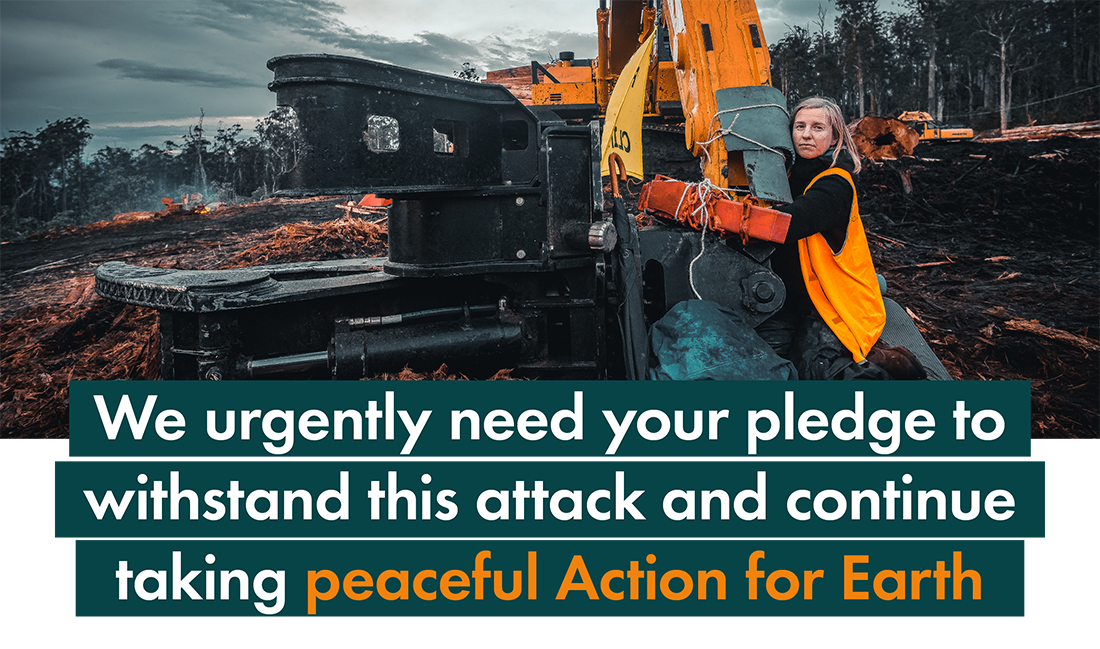 Bob Brown Foundation at Pozible - Pozible