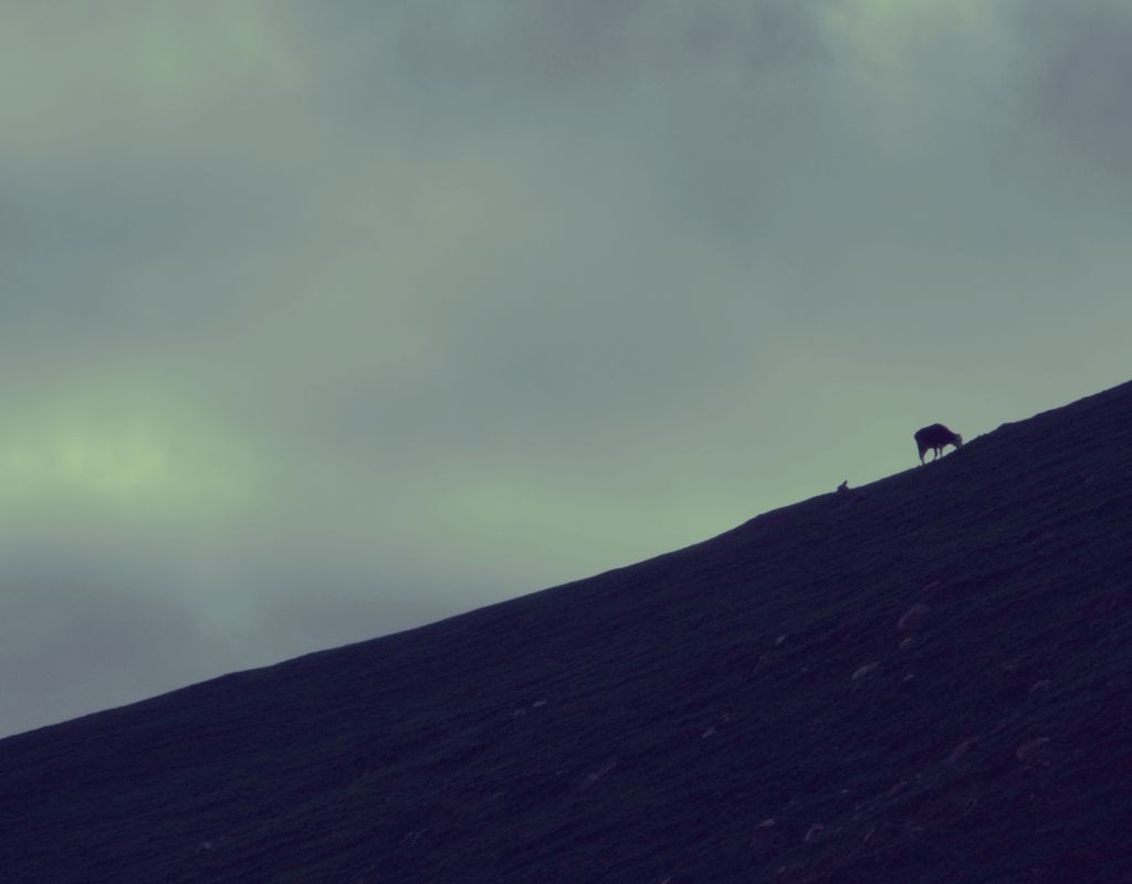 The Over There Short Film by The Over There - Pozible