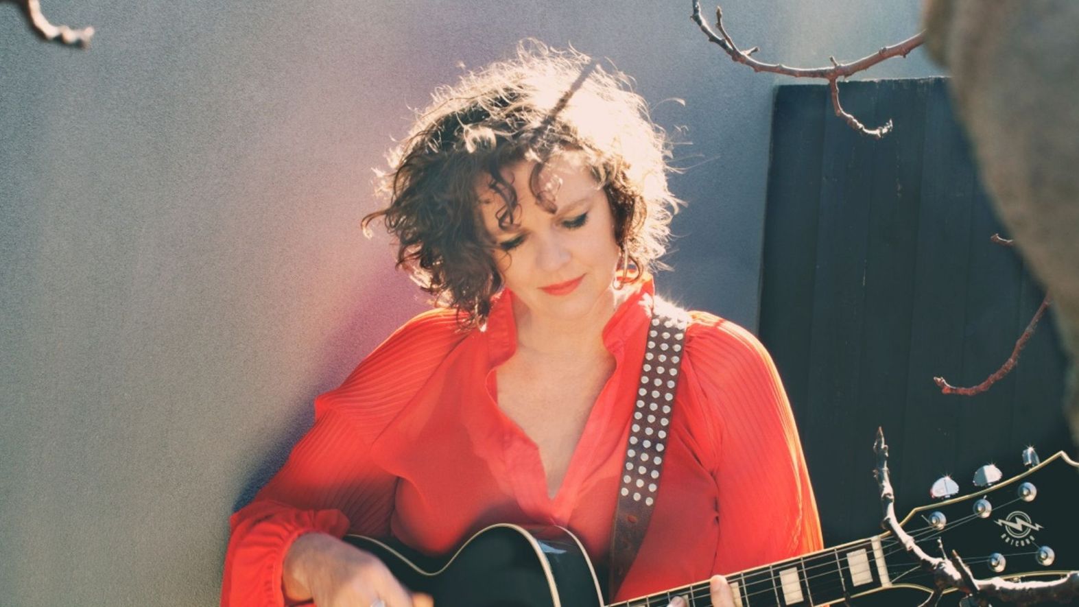 Toni Swain at Pozible - Pozible