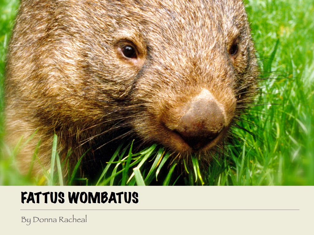 Fattus Wombatus children's book by Donna Racheal - Pozible