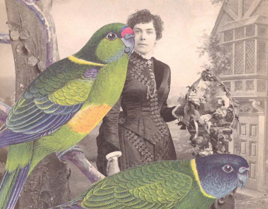 PRATTLE, SCOOP, TREMBLING by Gracia Haby - Pozible