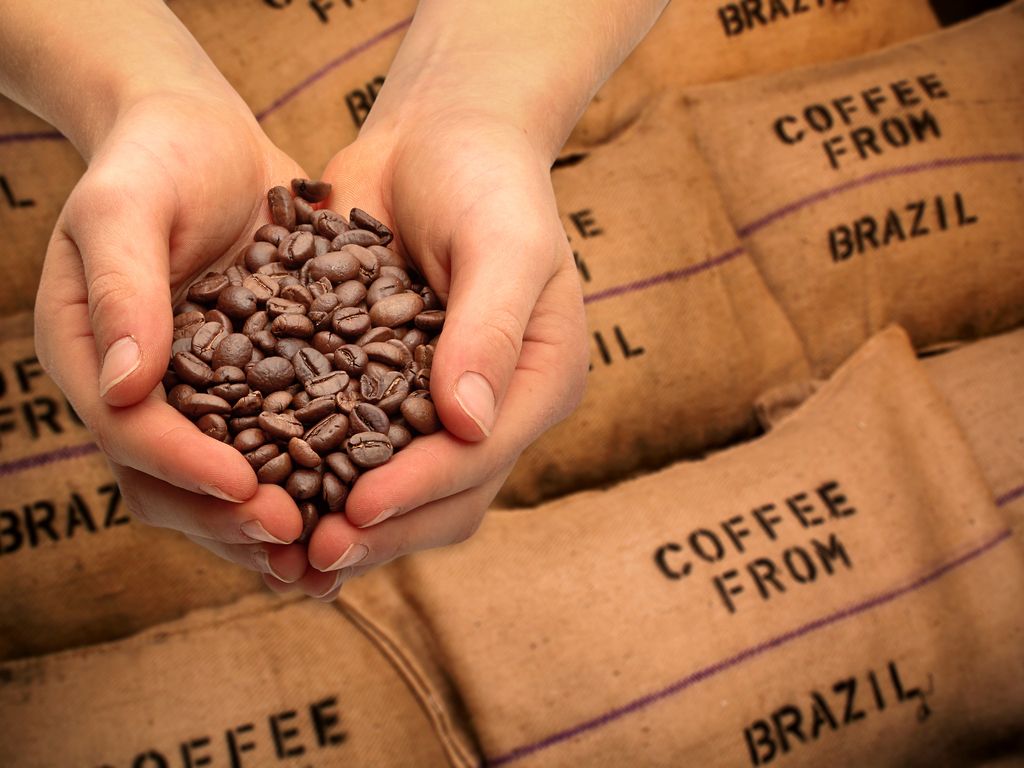 Bio Organic Coffee Capsules by Simon Mercier - Pozible