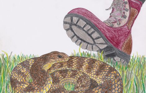 My Dad Thinks Snakes are Scary by Veronika Ross - Pozible