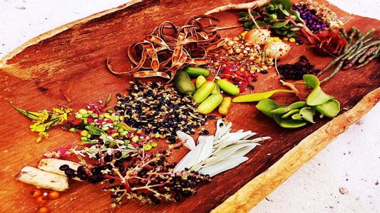 Bush Foods & Survival Plants - V2 by Gondwana Bushcraft - Pozible