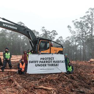 Action to Stop Extinction by Bob Brown Foundation - Pozible