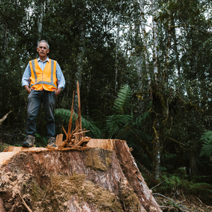 End Native Forest Logging Now by Bob Brown Foundation - Pozible