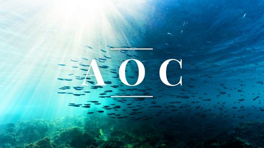 AOC Cooking School by AOC Cooking School - Pozible