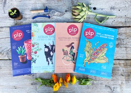 Pip Magazine goes to 4 issues by Pip Magazine - Pozible