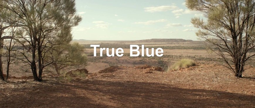 True Blue Film by Bronwyn Bernardin - Pozible
