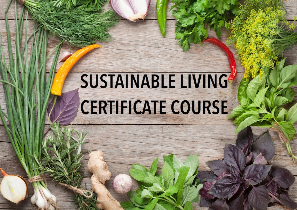 SUSTAINABLE LIVING CERTIFICATE by Melissa Cooper - Pozible