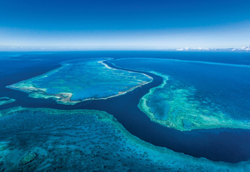 Reef Warriors by Shannon Hurley - Pozible